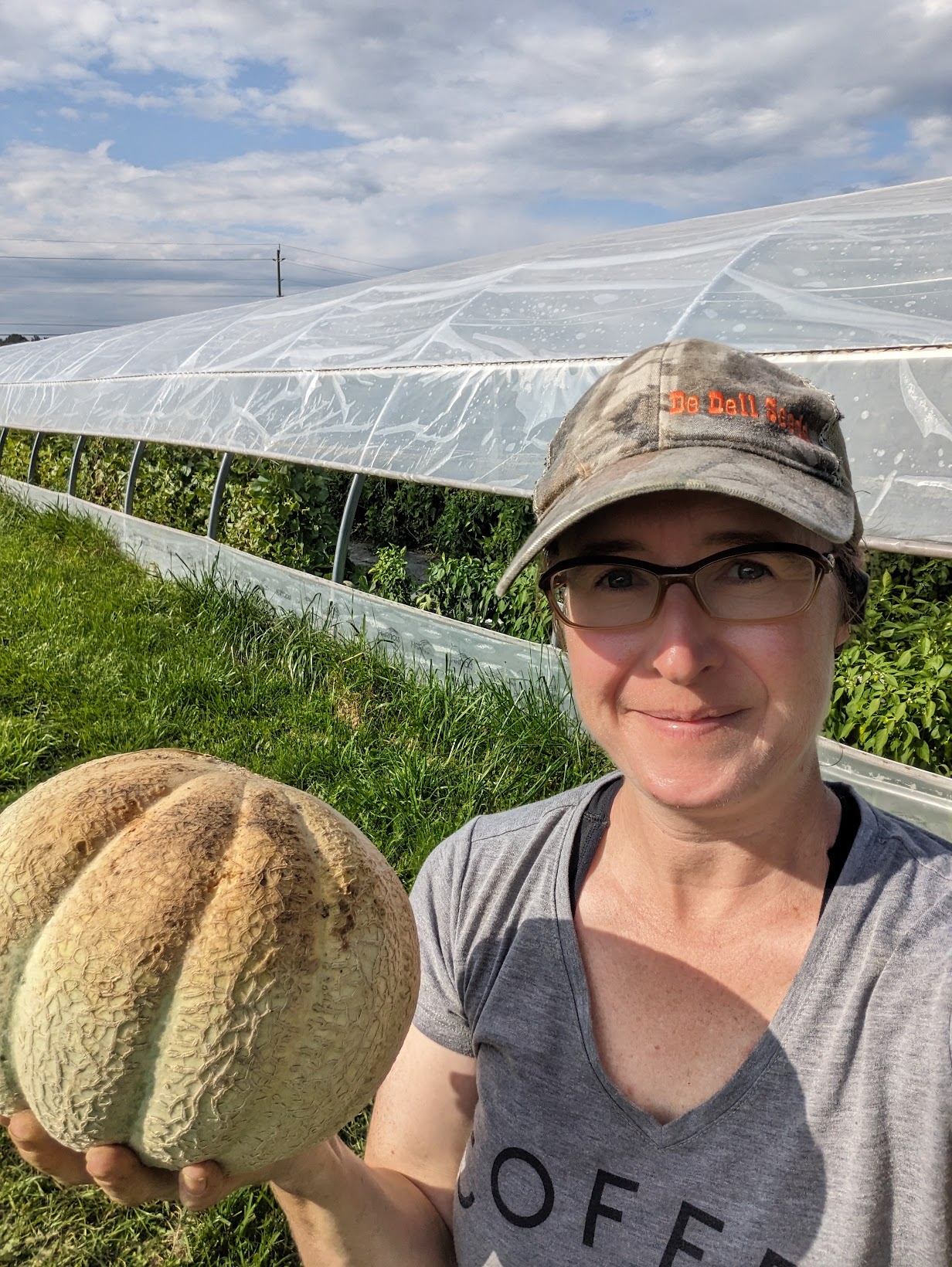 Seeds, Food and Climate Resilience Seminar - Events - Carleton Centre ...