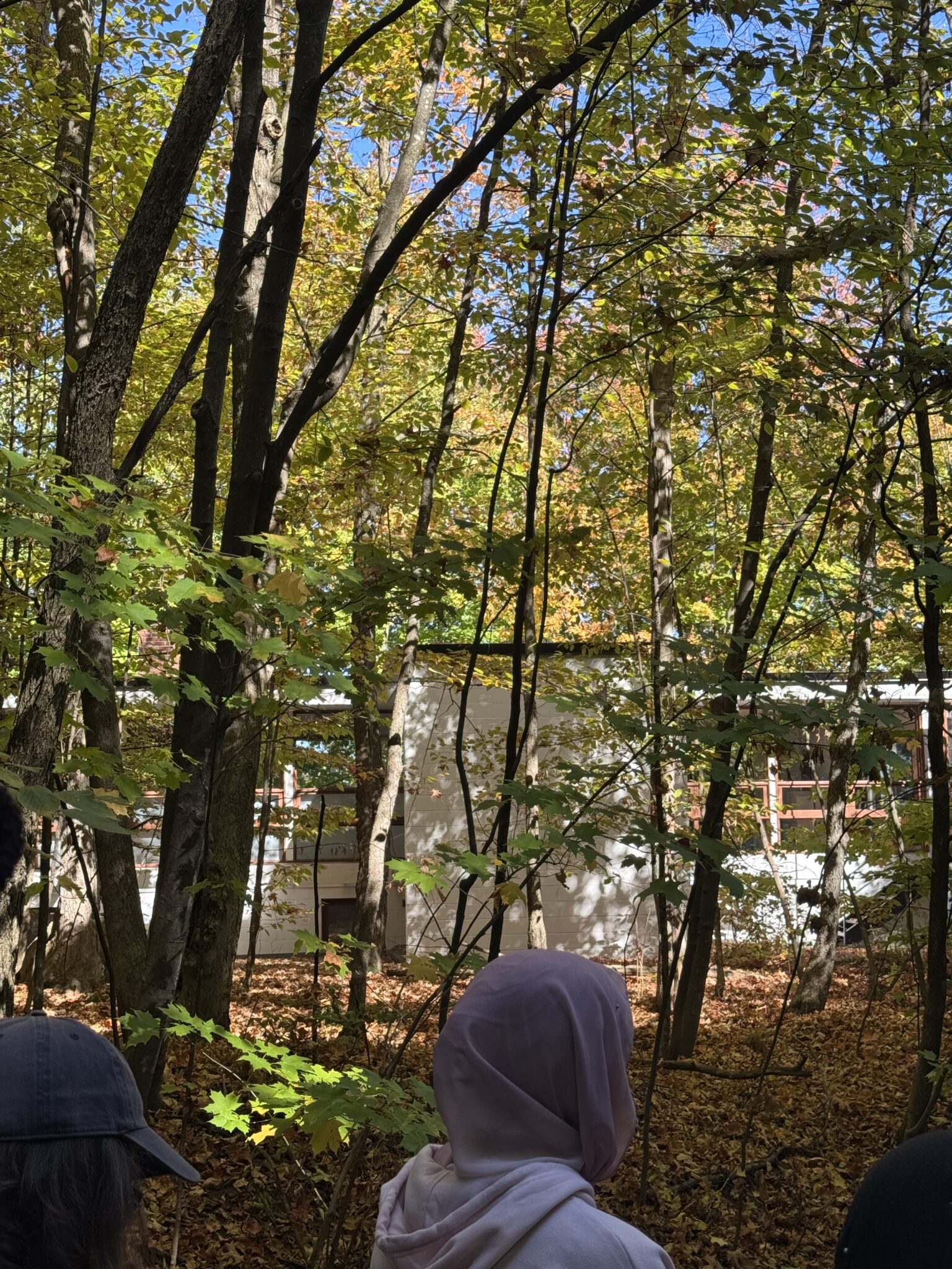 Discovering Ottawa’s Hidden Modernist Gems - Art and Architectural History