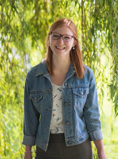 Global Inequalities and Social Change - Bachelor of Global and ...