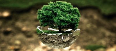 Globalization and the Environment - Bachelor of Global and ...