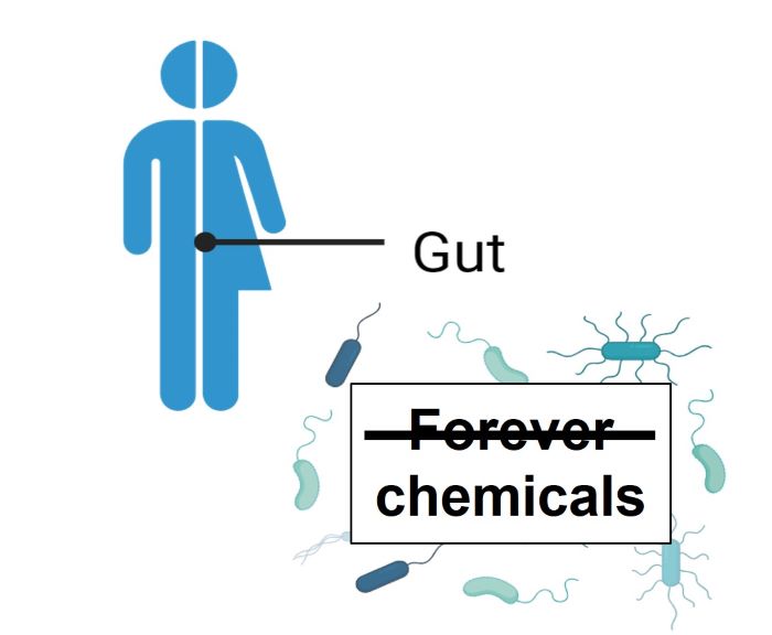 Research Spotlight: Forever Chemicals - Biochemistry