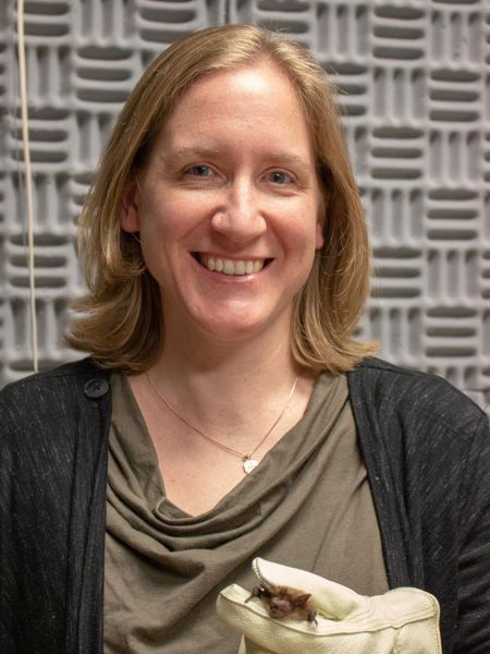 Christina Davy talks about 'Bats' on CBC Radio - Department of Biology