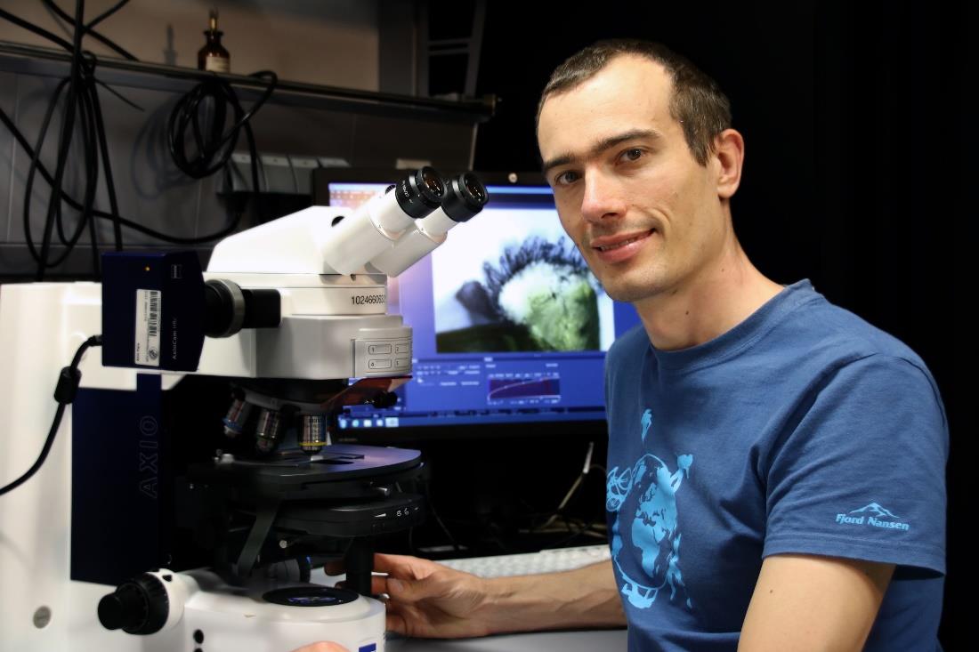 Special Seminar: Dr. Daniel Kierzkowski - Events - Department of Biology