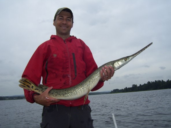 Biology Seminar Series: Dr. Nick Lapointe - Events - Department of Biology
