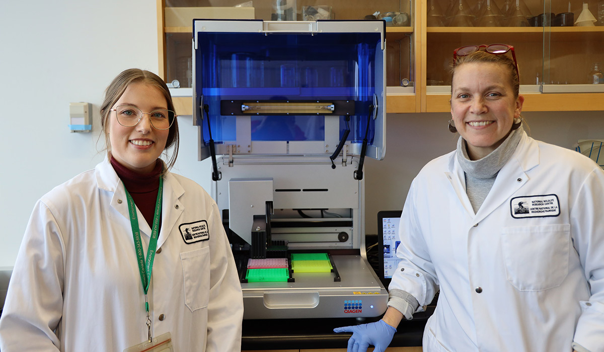 Adjunct Jennifer Provencher and MSc Grad Yasmeen Zahaby study Seabirds ...