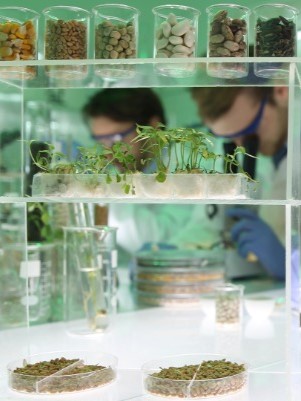 Doctorate - Department of Biology