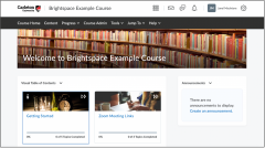 Customizing Your Homepage and Widgets - Instructor Support