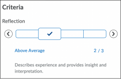 Grading Assignments and Providing Feedback - Instructor Support