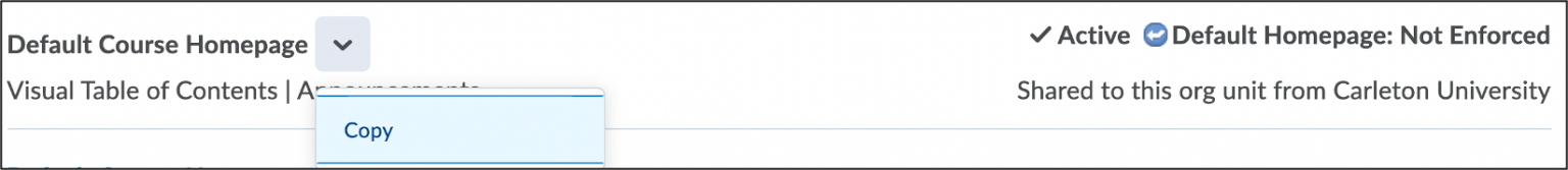 Customizing Your Homepage and Widgets - Instructor Support