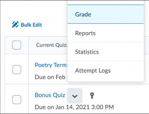 Grading Quizzes - Instructor Support