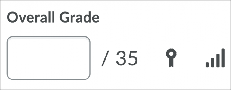 Grading Assignments and Providing Feedback - Instructor Support