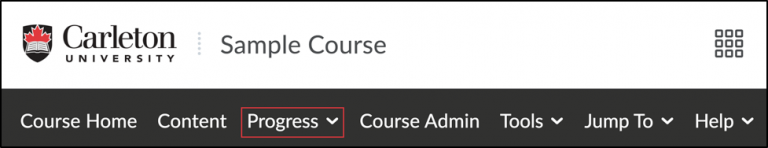 Grading Quizzes - Instructor Support