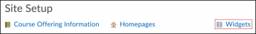 Customizing Your Homepage and Widgets - Instructor Support