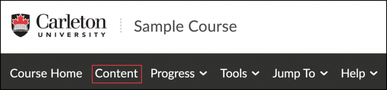 Navigating Brightspace - Student Support