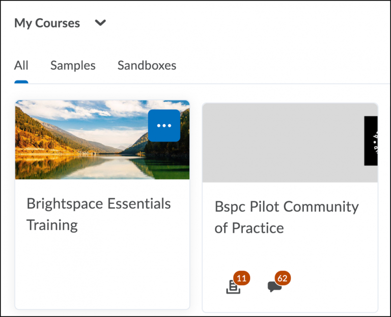 Navigating Brightspace - Student Support