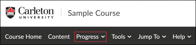 Viewing Grades - Student Support