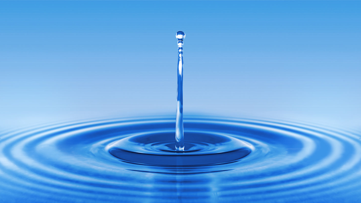 Prof. Banu Örmeci selected as an International Water Association (IWA ...