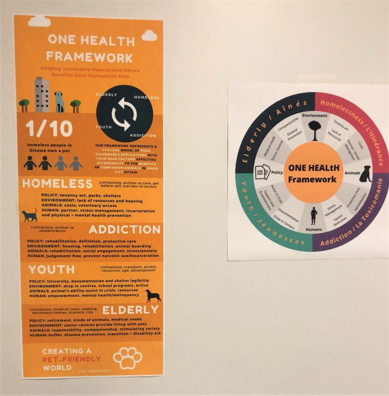 2019 One HEALtH Challenge Frameworks - CHAIM Centre