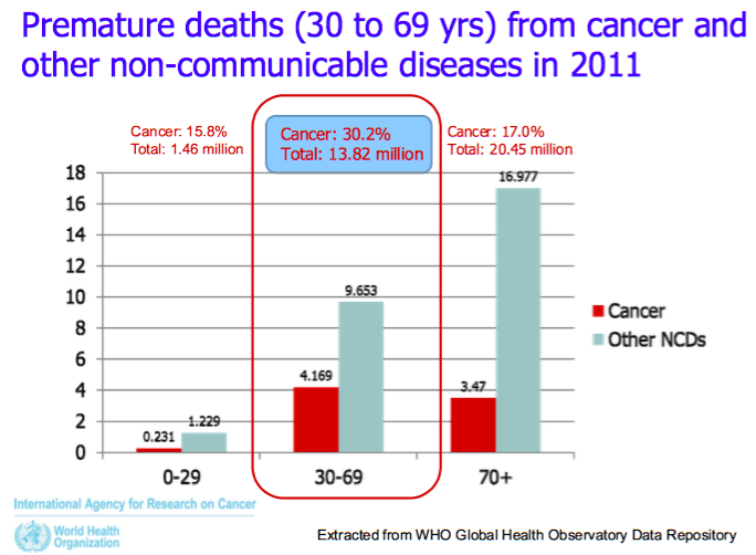 Christopher Wild: The Global Cancer Burden - CHAIM Centre