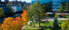 Visiting Scholars - Carleton International