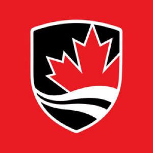 Healthy Cities - The Place of AI in the City: Intelligent Machines and ...