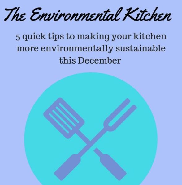 Day 8 of 31 Days for an Environmentally Friendly December: The ...