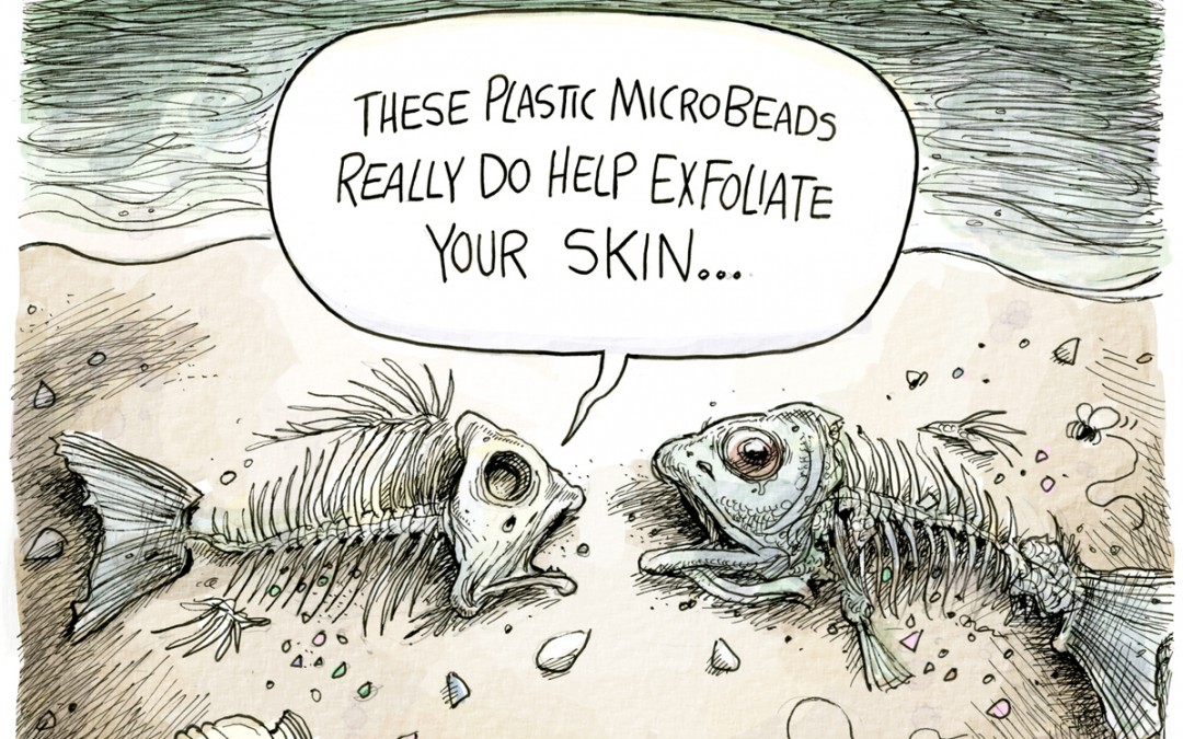 Day 22 of 31 Days for an Environmentally Friendly December: Microbeads ...