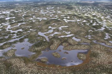 Hudson Bay Lowlands - Biometeorology
