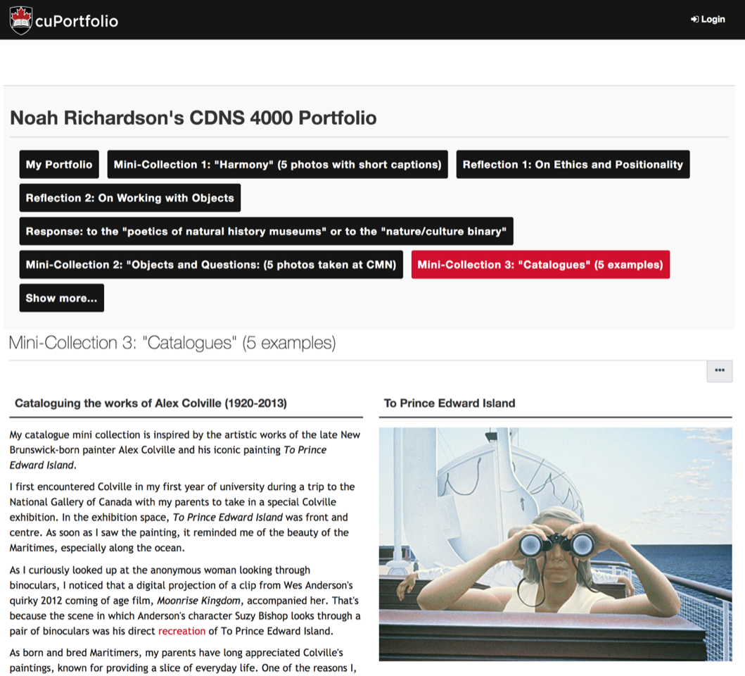 Student ePortfolio Samples - cuPortfolio Support