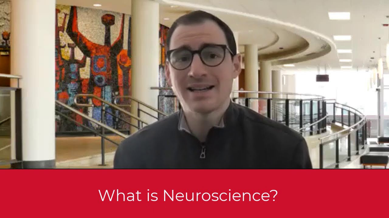 What is Neuroscience? - Employers