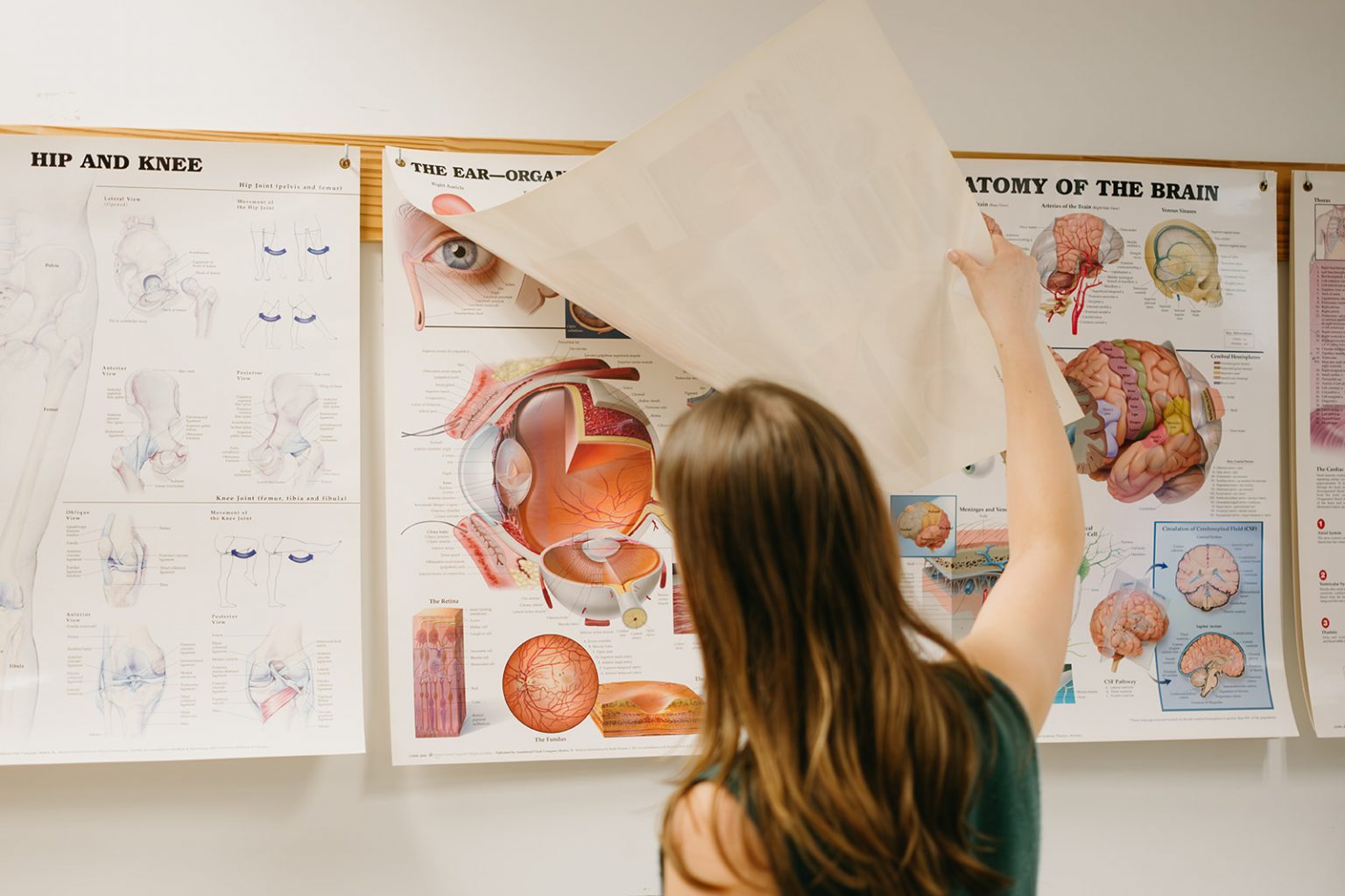 Students Tackle Real-World Issues Through Capstone & Studio Design ...