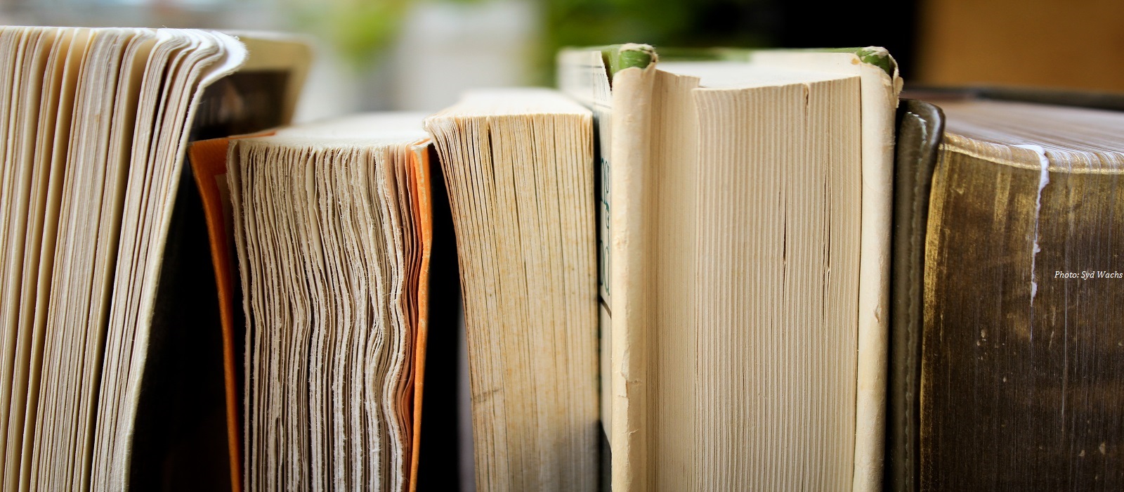Current Course Offerings - Department of English Language and Literature
