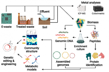 Research - The Environmental Biogeochemistry and Biotechnology Lab