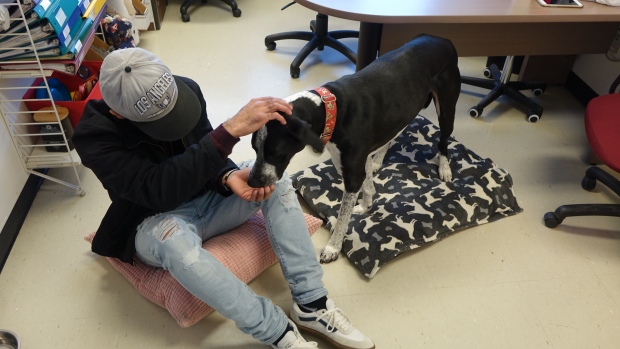 Carleton's Therapy Dog Gives Paws to Stressed Students - Enriched Support Program