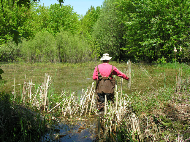 From crops to roadkill: Lenore Fahrig aims to reduce human impact on ...