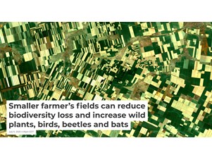 Small crop fields and biodiversity: The Conversation - Fahrig Lab