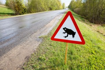 From crops to roadkill: Lenore Fahrig aims to reduce human impact on ...