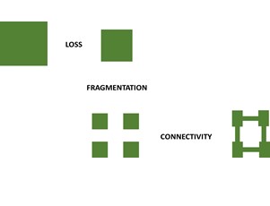 4 new MSc students join the lab this fall - Fahrig Lab