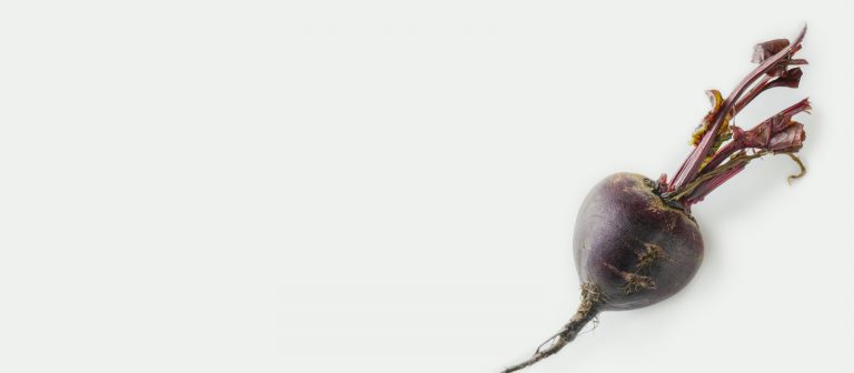 Presentation Abstracts - Food Matters