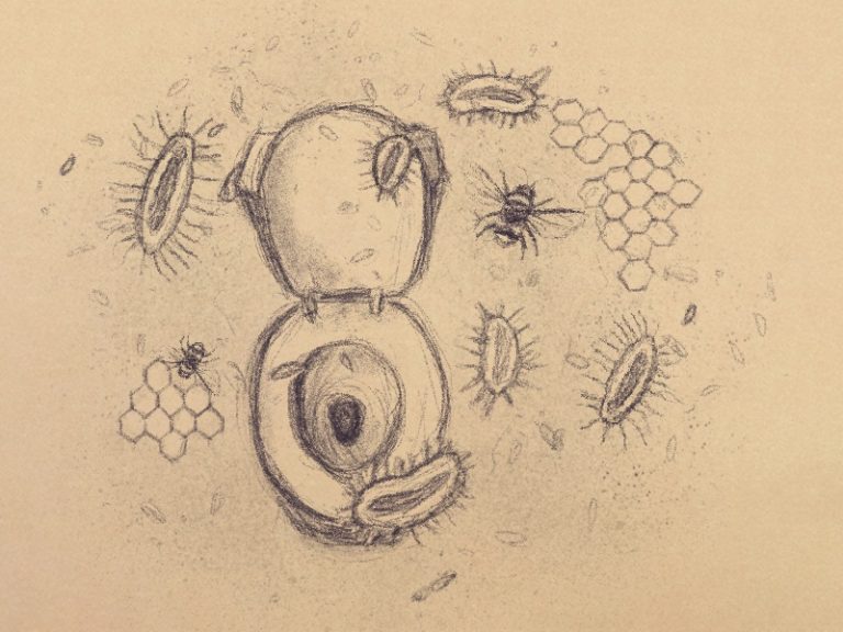 “Fæces and Species”: Human-Microbe Interrelations - Food Matters