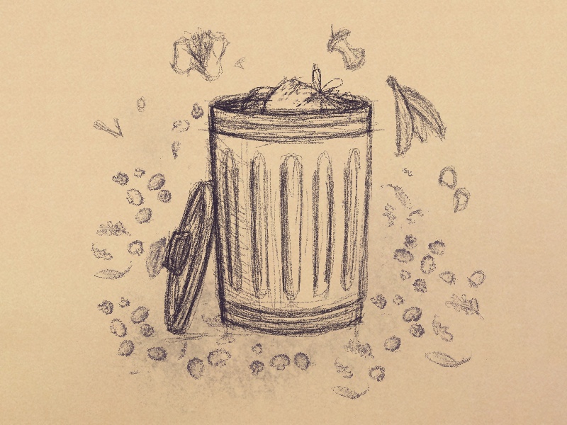 Workshops with the Materials of Food Waste: An Interview with Pamela ...