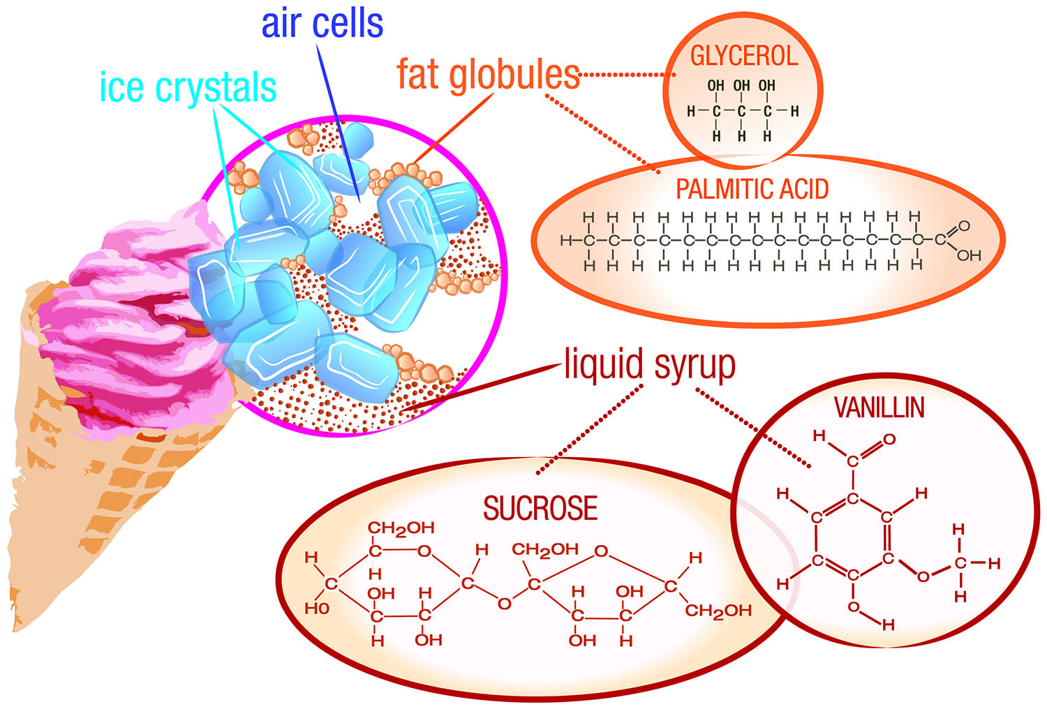 Food Science Fun Facts About Ice Cream - Food Science