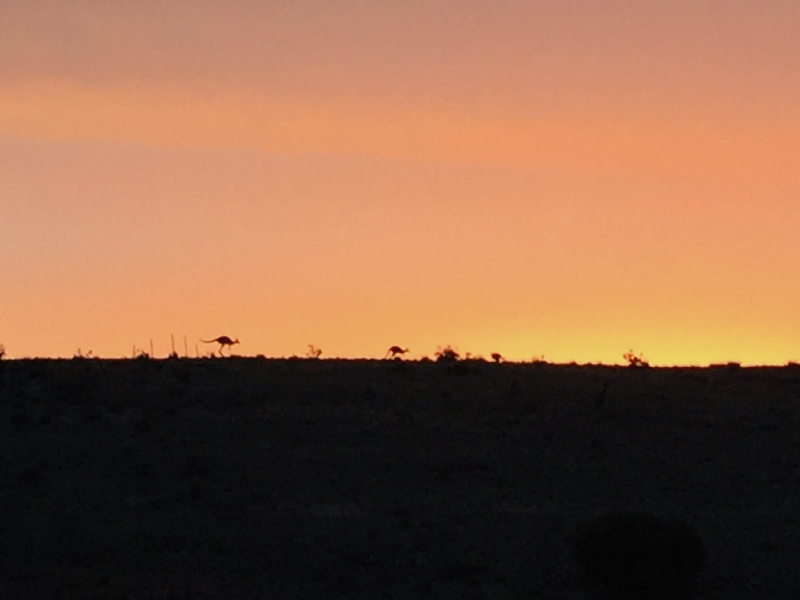 Welcome to Free Range - Free Range