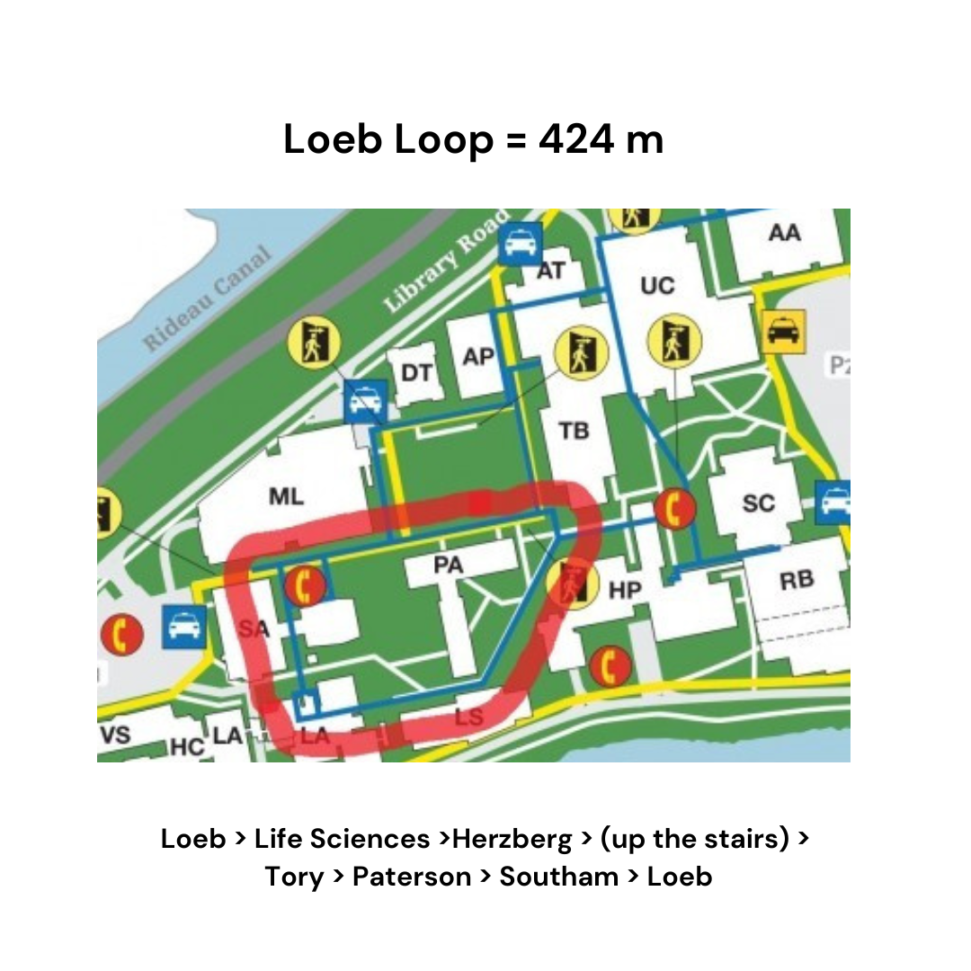 Explore Carleton's Underground Tunnels - Healthy Workplace