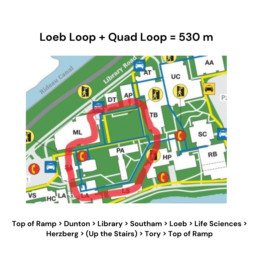 Explore Carleton's Underground Tunnels - Healthy Workplace