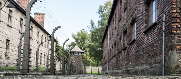 Holocaust Virtual Museum - Holocaust Education Month Pop Up Museum 2018