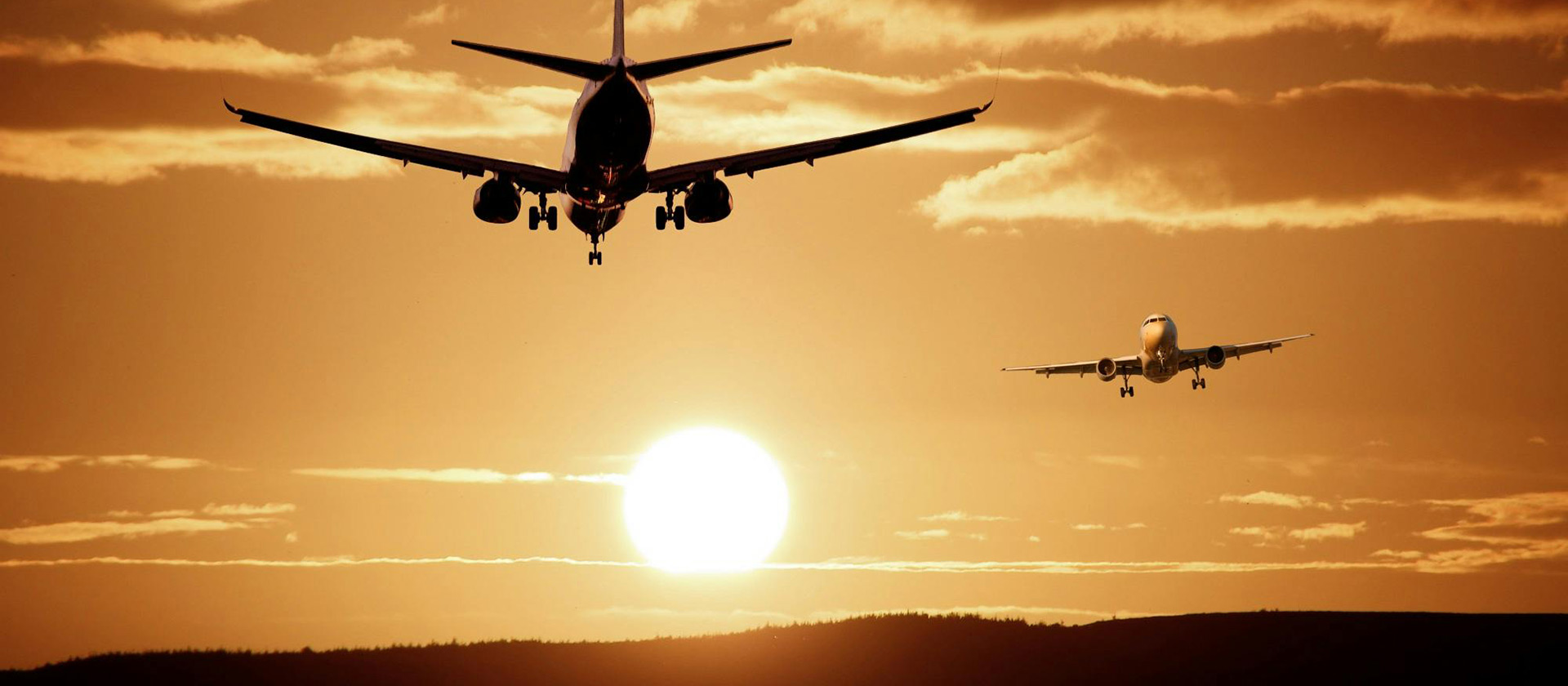 IATA Professional Certificate | Carleton University