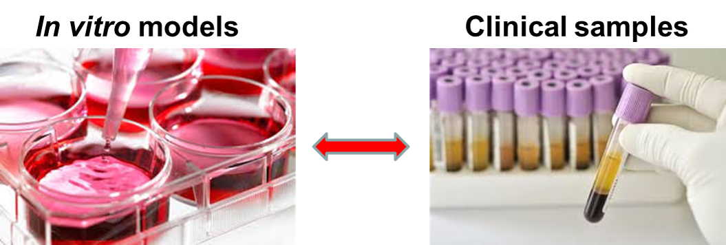 Systems Immunology Lab - Carleton University