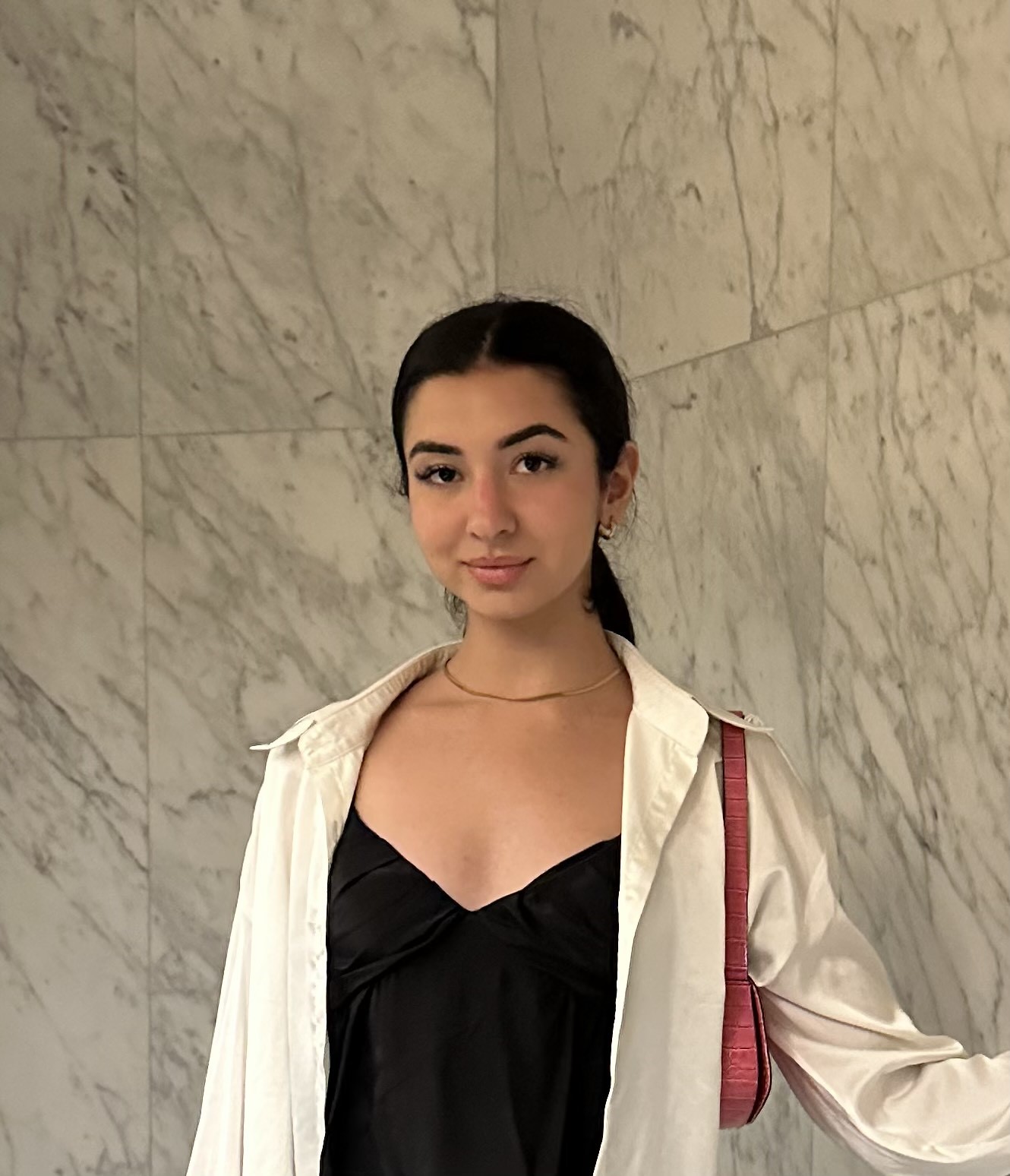 Ariana Golshani - Innovation Hub