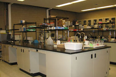 Lab Renovations! - LADDER